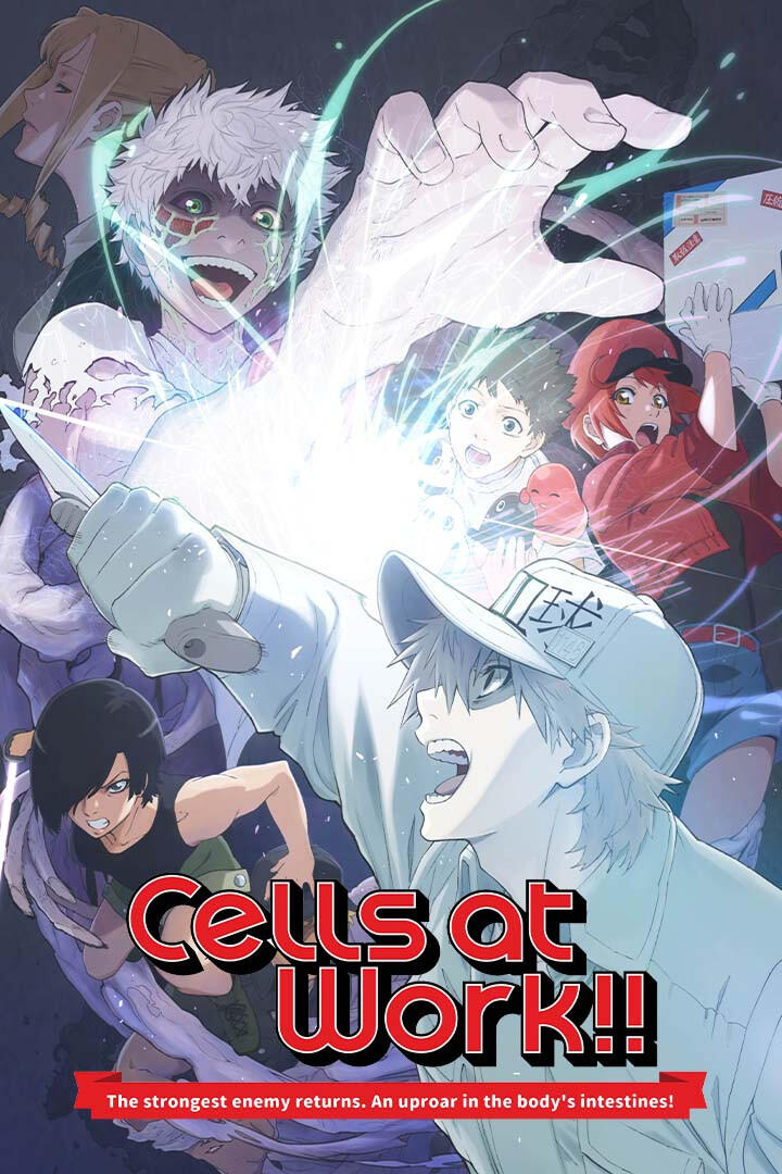 Playmax | Animax | Anime | Movie